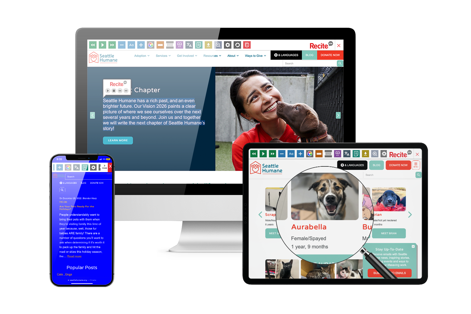 Seattle Humane Inclusive Website | Recite Me