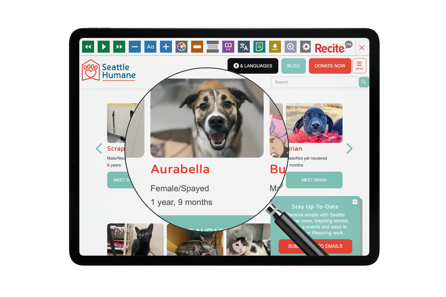Seattle Humane Inclusive Website | Recite Me