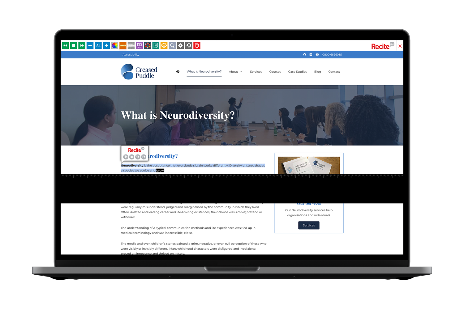 Creased Puddle Provide Inclusive Website | Recite Me