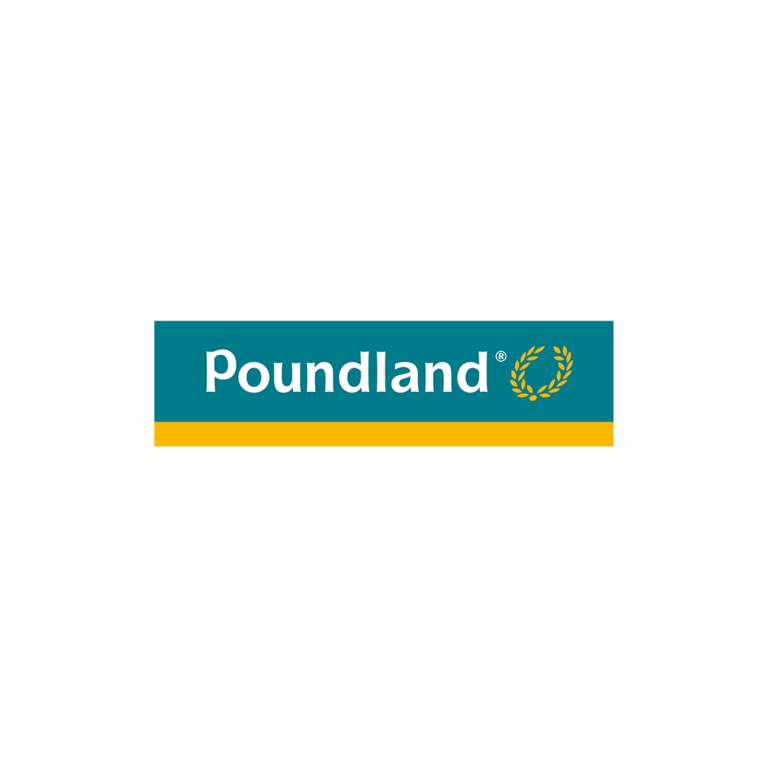 Poundland Careers Accessible Website | Recite Me