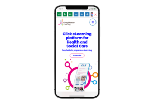 Grey Matter Learning Accessibility Success | Recite Me